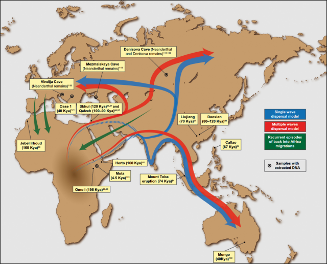 MIGRATIONS OF EARLY MODERN HUMANS | Facts and Details