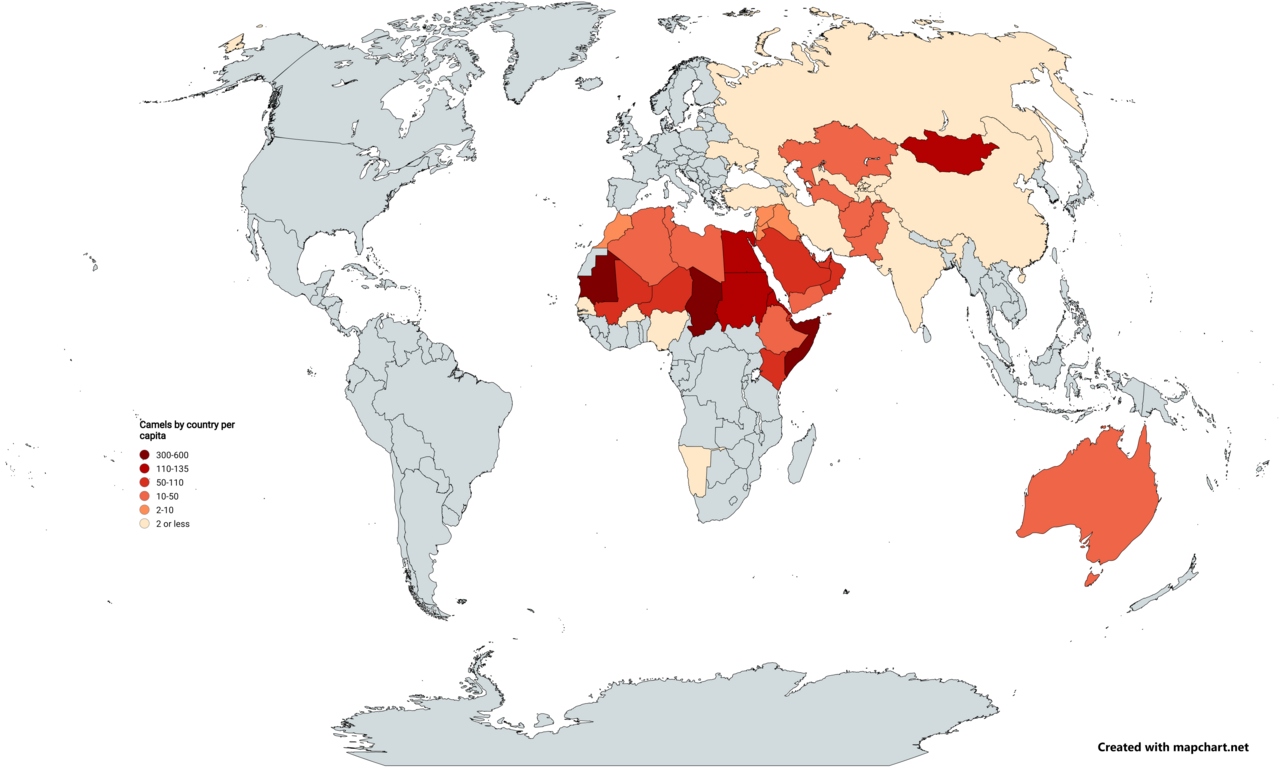 BACTRIAN CAMELS: CHARACTERISTICS, BEHAVIOR AND REPRODUCTION | Facts and ...