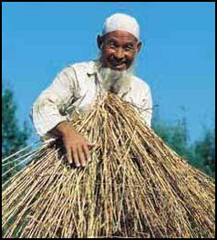 BONAN MINORITY | Facts and Details