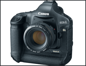 CANON AND SHARP: NEW PRODUCTS. MANAGMENT, DIGITAL CAMERAS AND FLAT ...